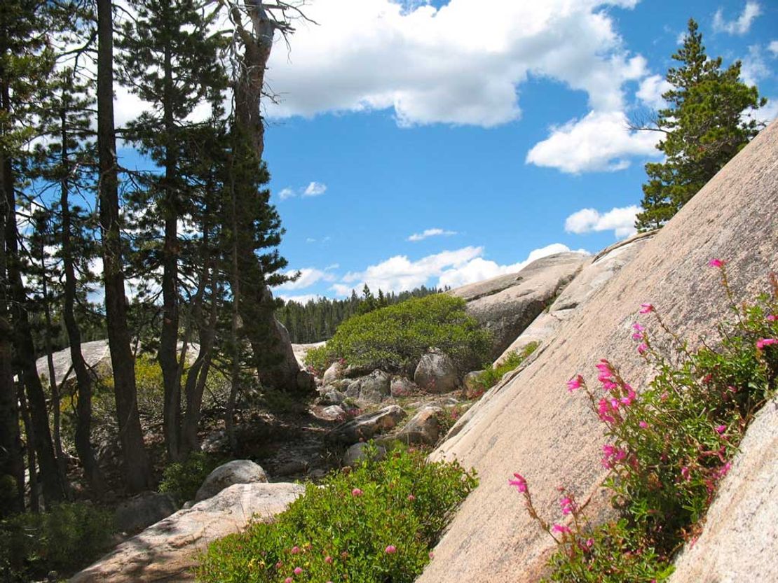 Union Reservoir - in California's spectacular High Sierra